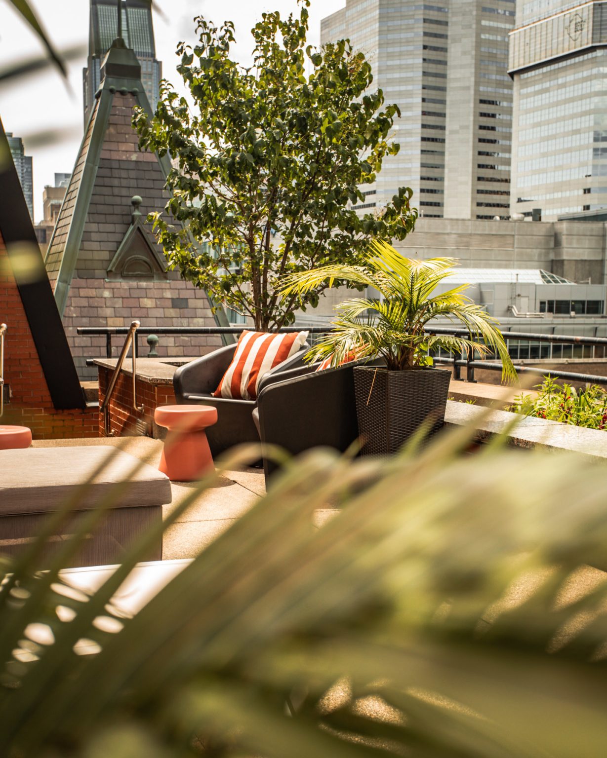 Summer above the city: The pool terrace on the 10th floor ...